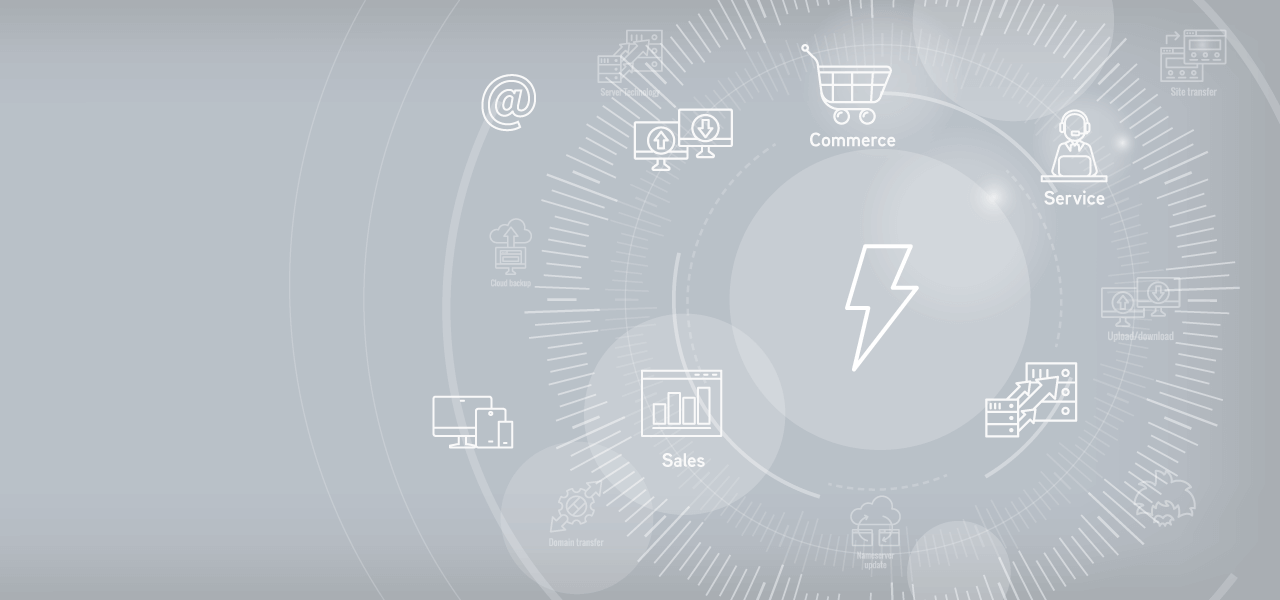 Lightning Platform | Salesforce アプリケーション開発プラットフォーム（PaaS） | サークレイス株式会社